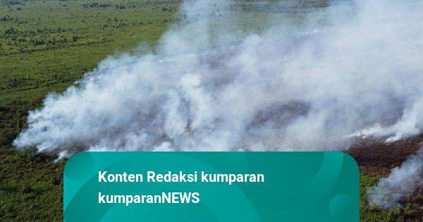 Foto: Kebakaran Gambut Hanguskan 14 Hektare Lahan di Aceh Barat | kumparan.com